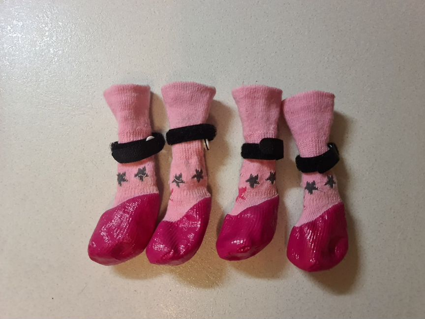 Ботинки-носочки для собак