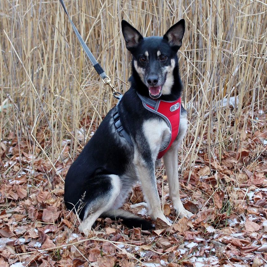Самая нежная девочка мечтает о семье