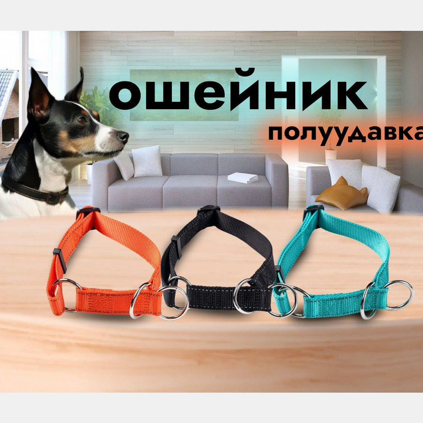 Ошейник-полуудавка для собак
