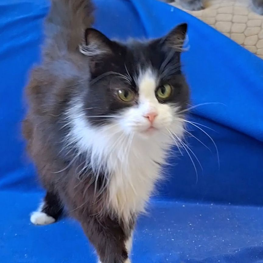 Меня никто не замечает