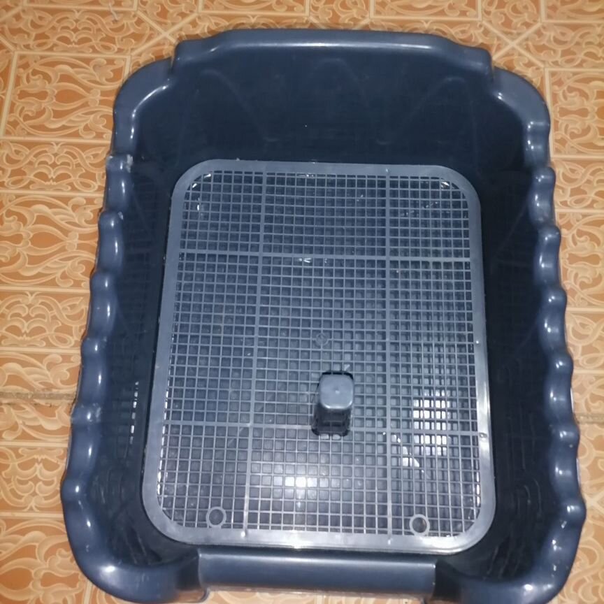 Собачий лоток