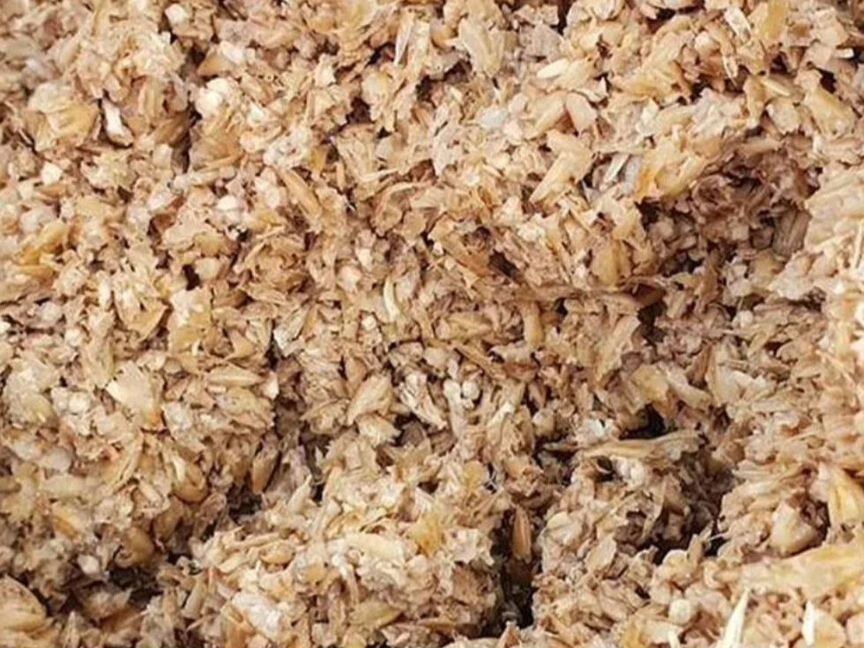 Пивная дробина