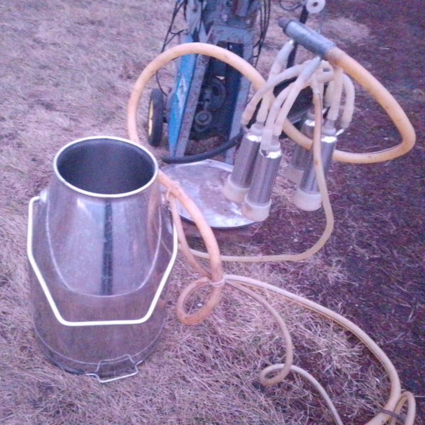 Доильный аппарат для коров бу