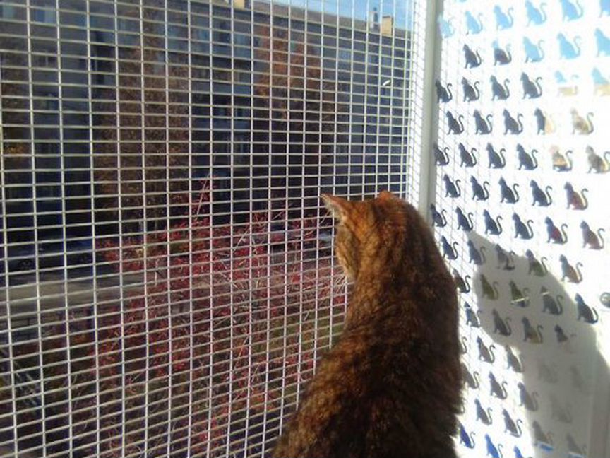 Балкончик для кошки, сетка антикошка