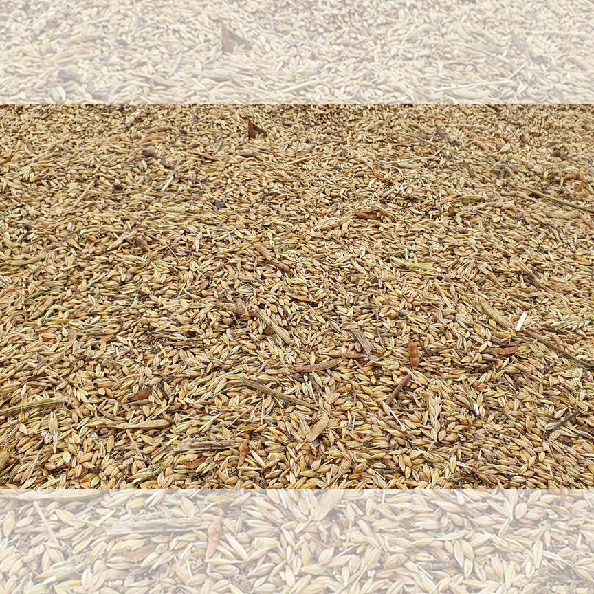 Зерноотходы ячменные