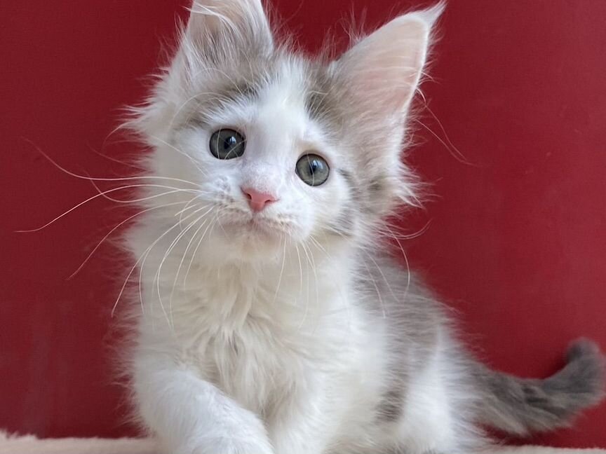 Нежный мальчик