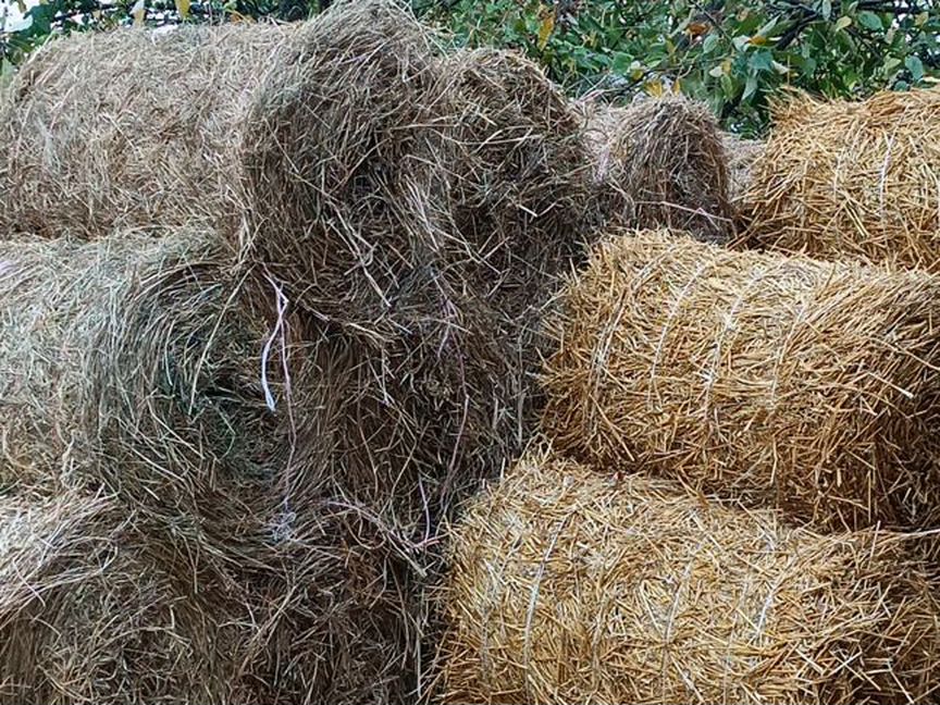 Сено и солома в мини рулонах