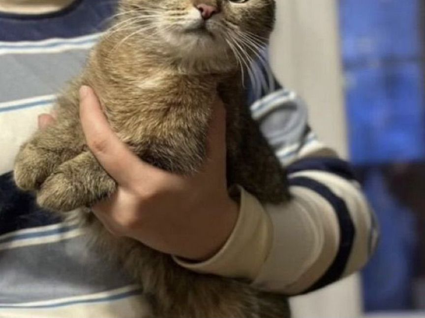 От Мурки избавились