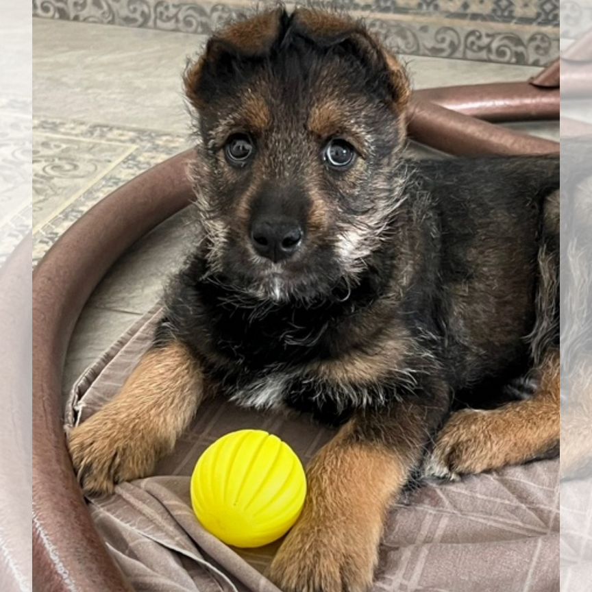 Чудо ребёнок в дар