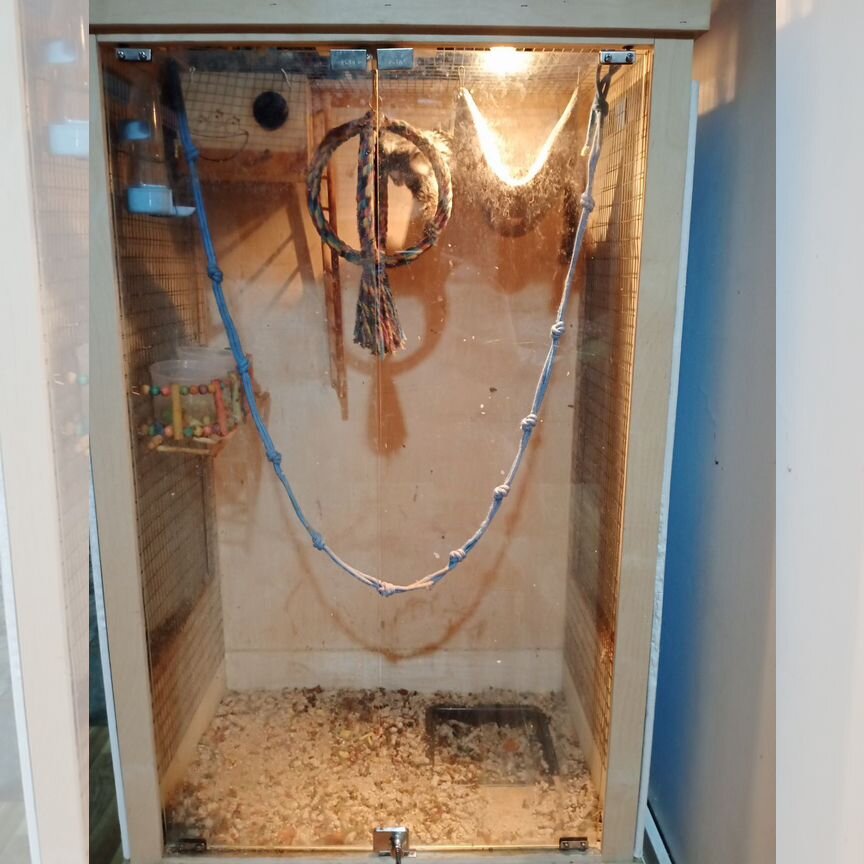 Вольер для обезьян