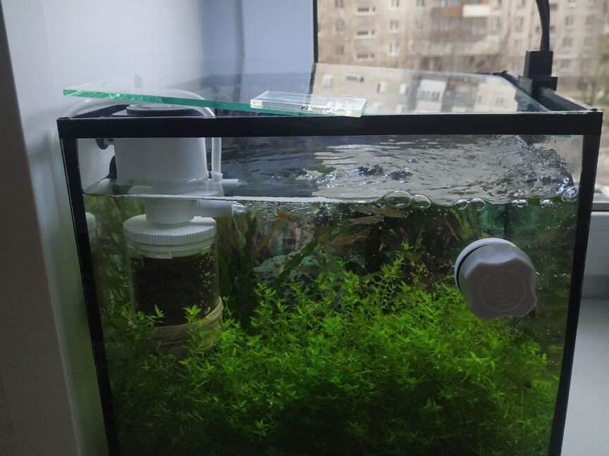 Аквариум со всем содержимым