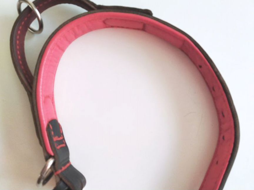 Кожаный ошейник с ручкой