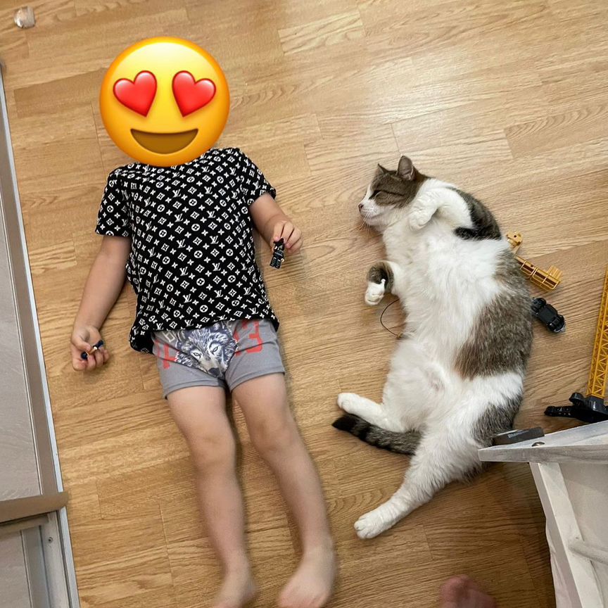Усатый нянь Степашка, 2 года