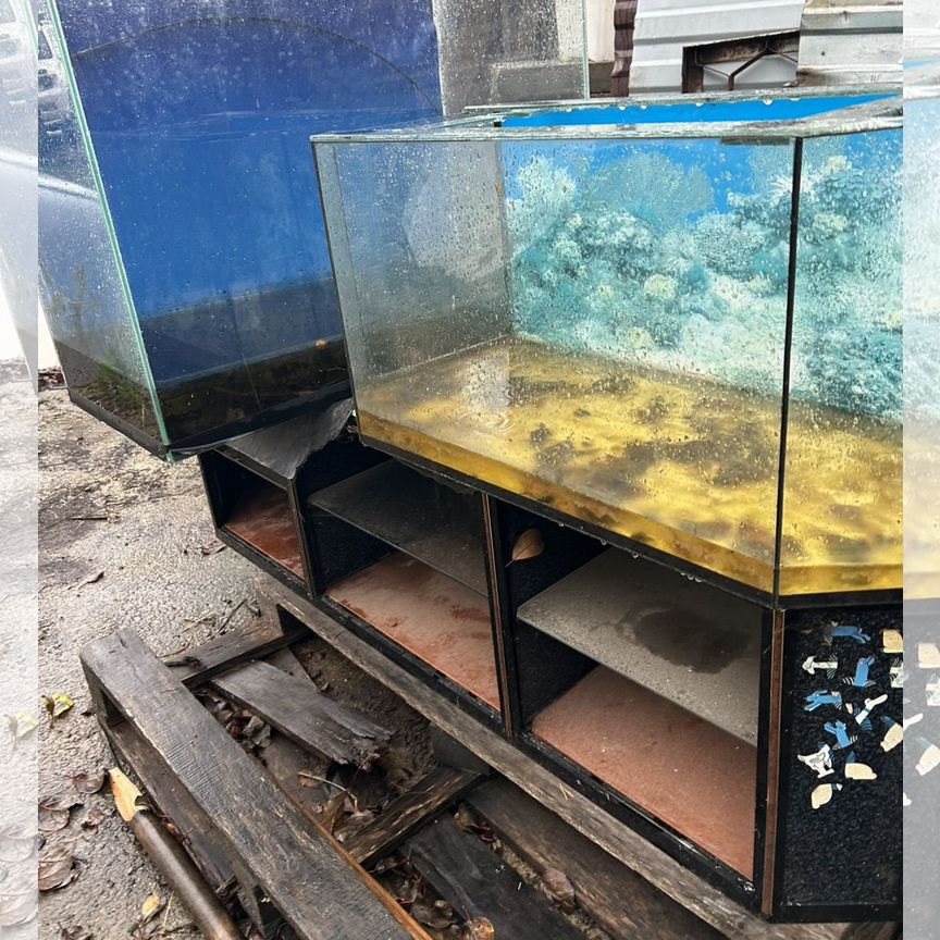 Аквариум-терариум