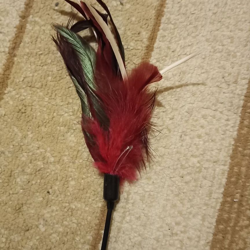 Удочка-дразнилка для кошек