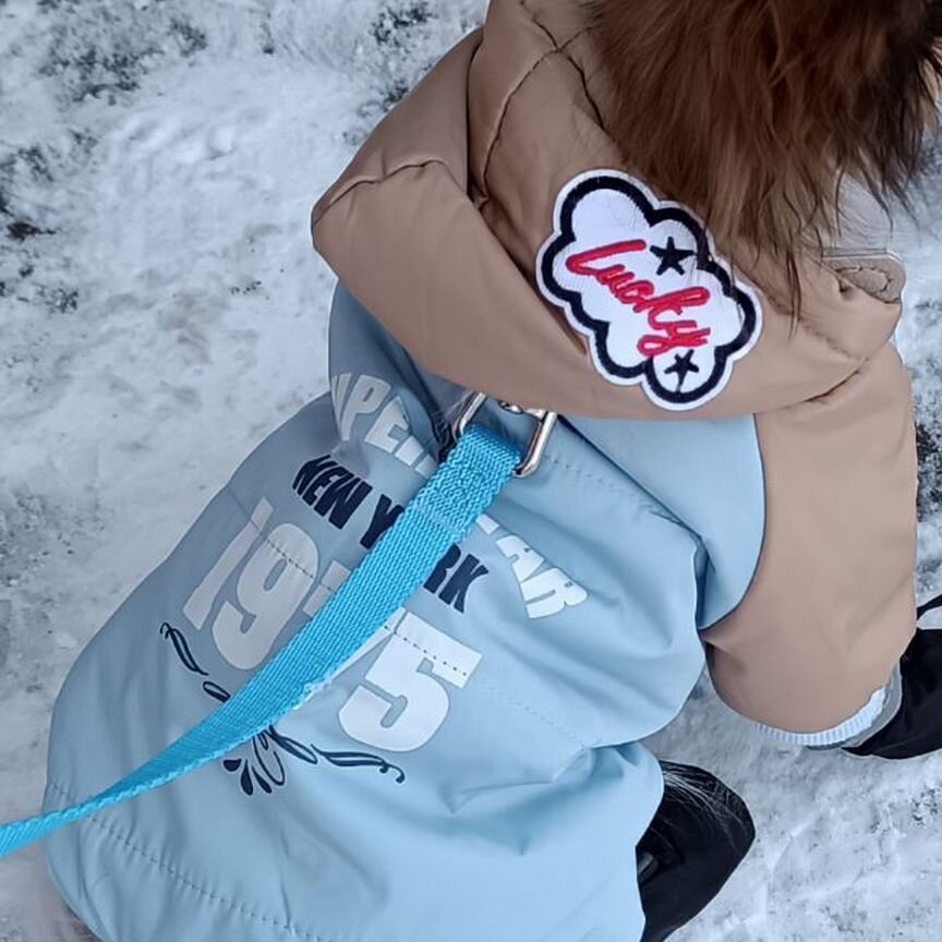 Комбинезон для собак