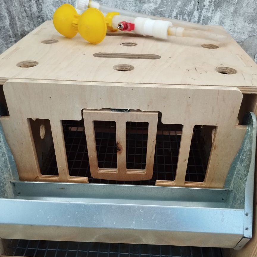 Клетка для перепелов несушек б/ у