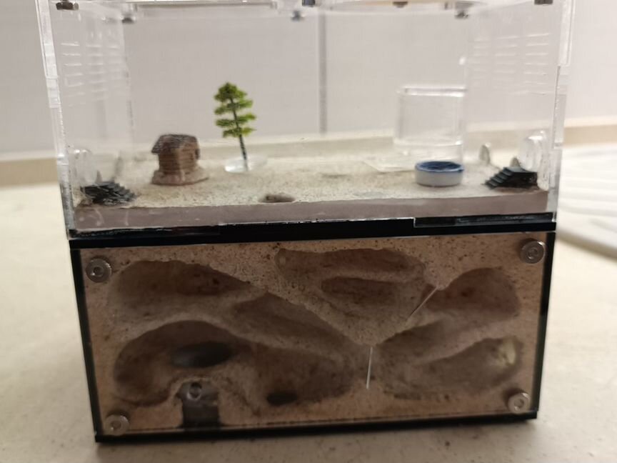 Формикарий с подогревом. Муравьиная ферма