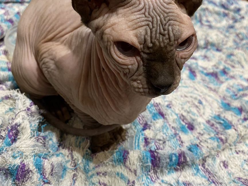 Морщинистая девочка