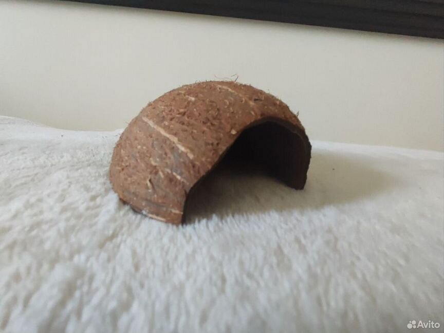 Укрытие кокос для террариума