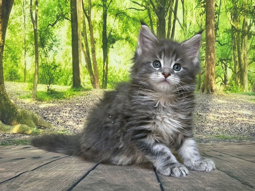 Голубая звезда