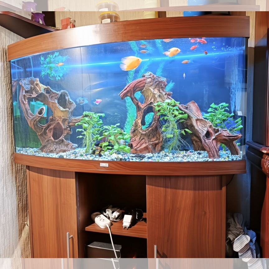 Аквариум с тумбой juwel vision 260