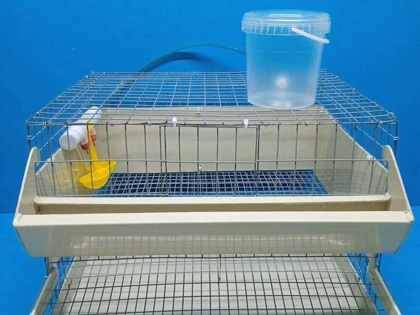 Клетка для перепелов
