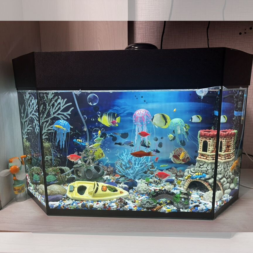 Аквариум с рыбками готовый