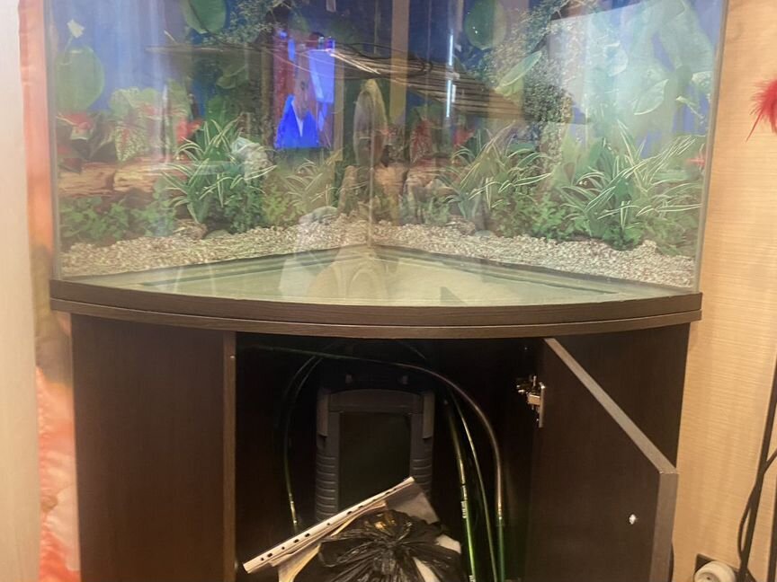 Акватеррариум для черепахи