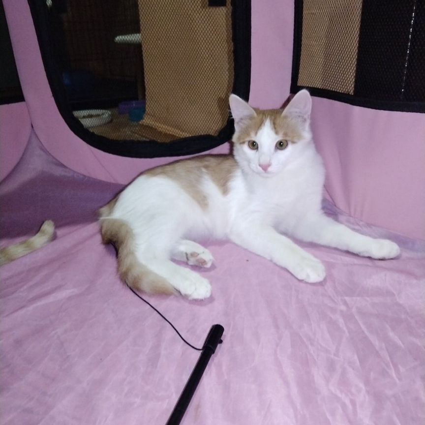 Марик 3,5 мес