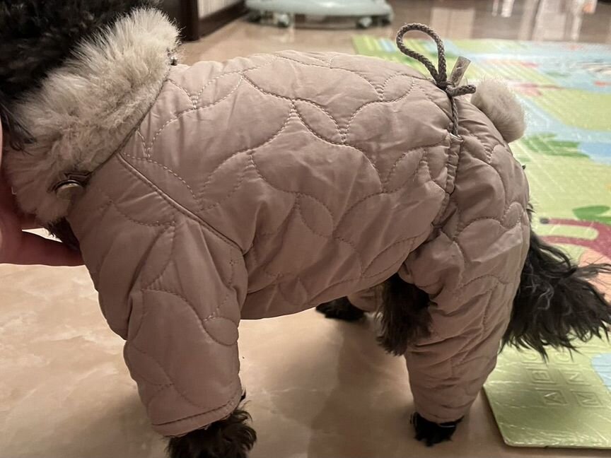 Вещи для животных