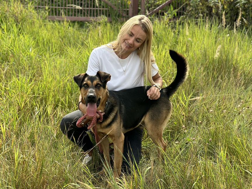 Собака из приюта Тайгер станет верным другом