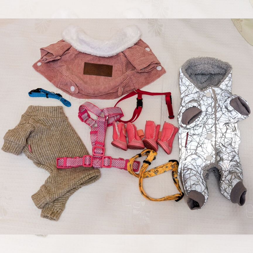 Одежда для собак