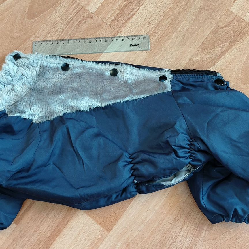 Комбинезон для таксы мальчика