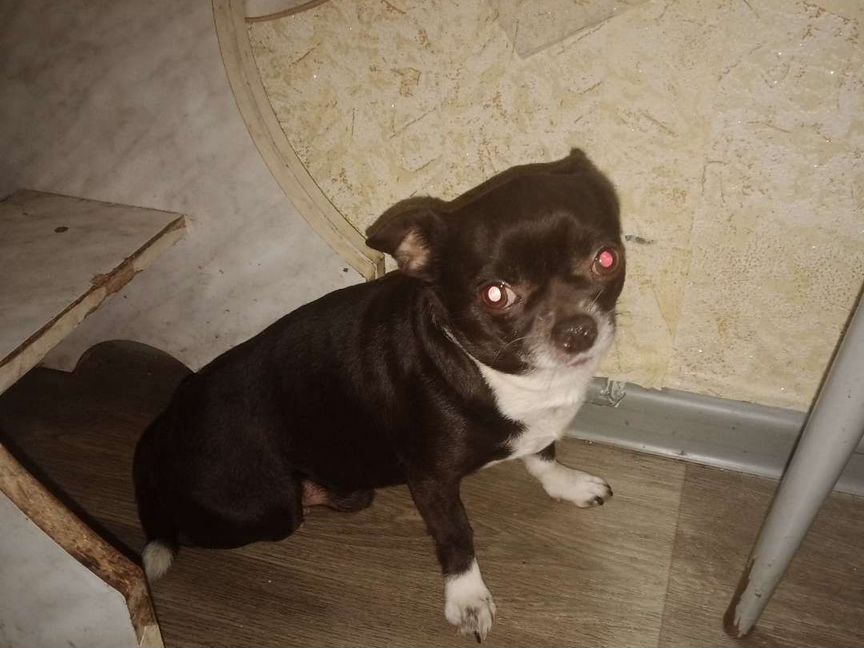 Мальчик ищет девочку