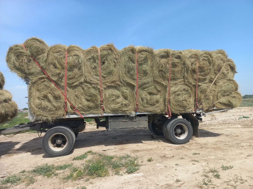 Сено в рулонах с доставкой