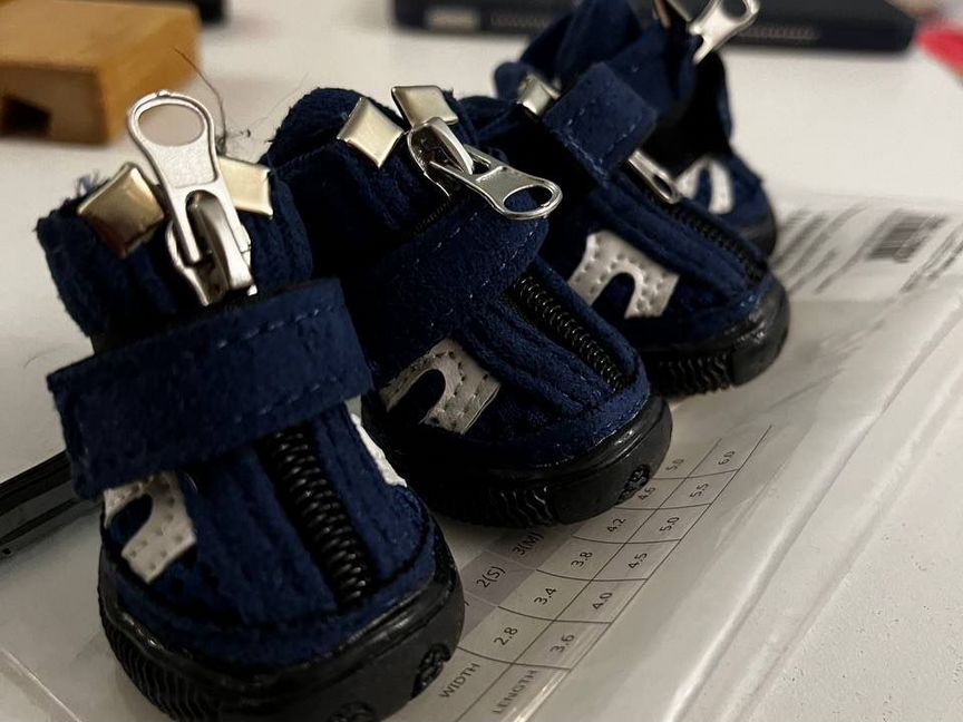 Кроссовки для собак Hiker синие XS