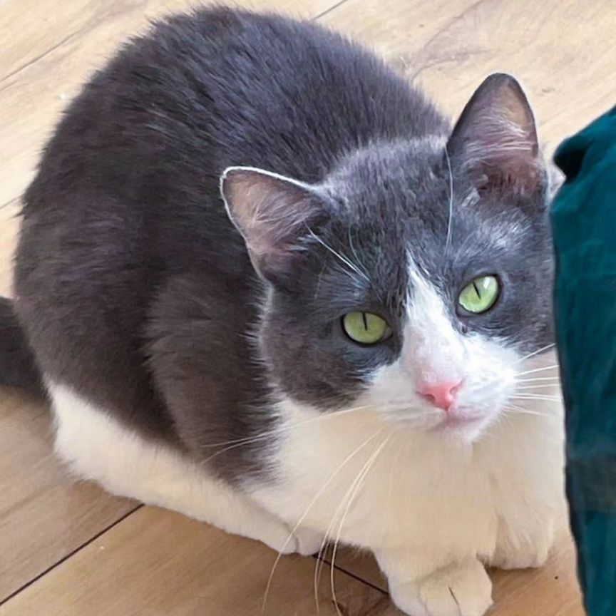 Сахарка никто не замечает