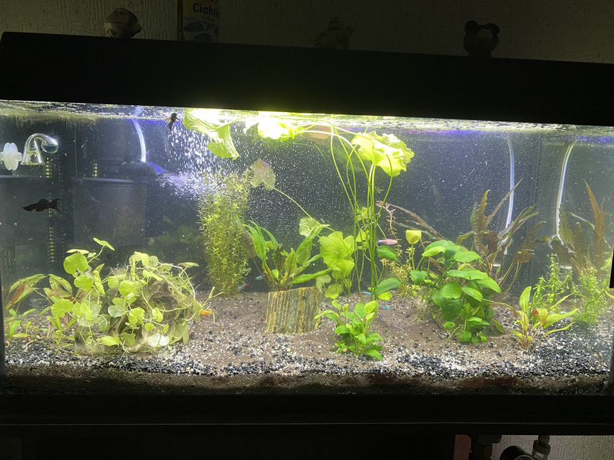 Продам аквариум 110л вместе с системой CO2