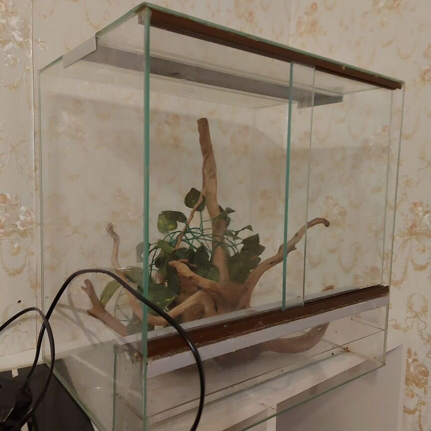 Террариум для рептилий бу