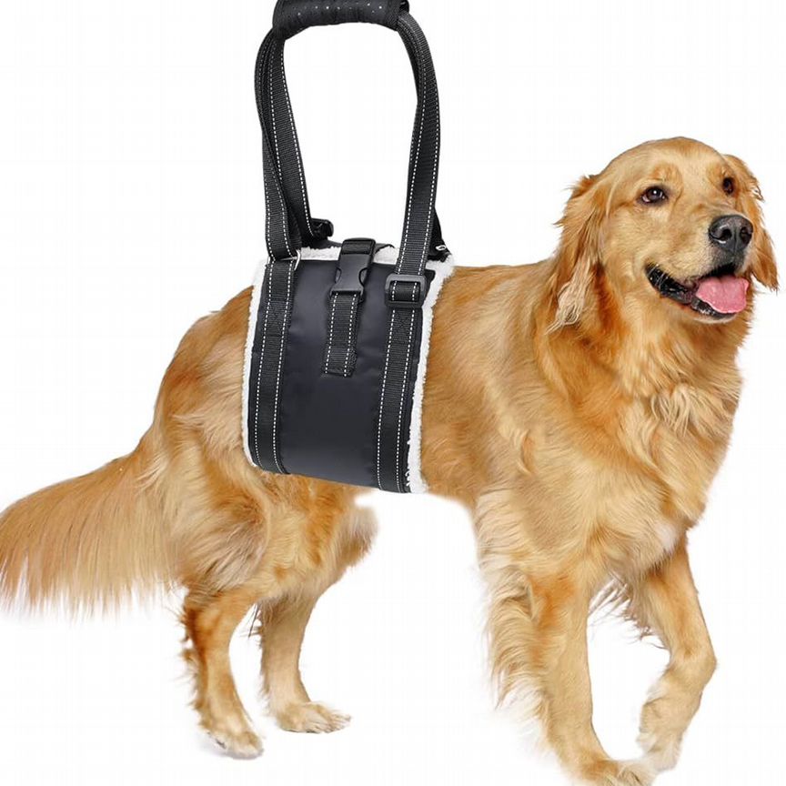 Ходунки для собаки новые, на флисе с пряжкой