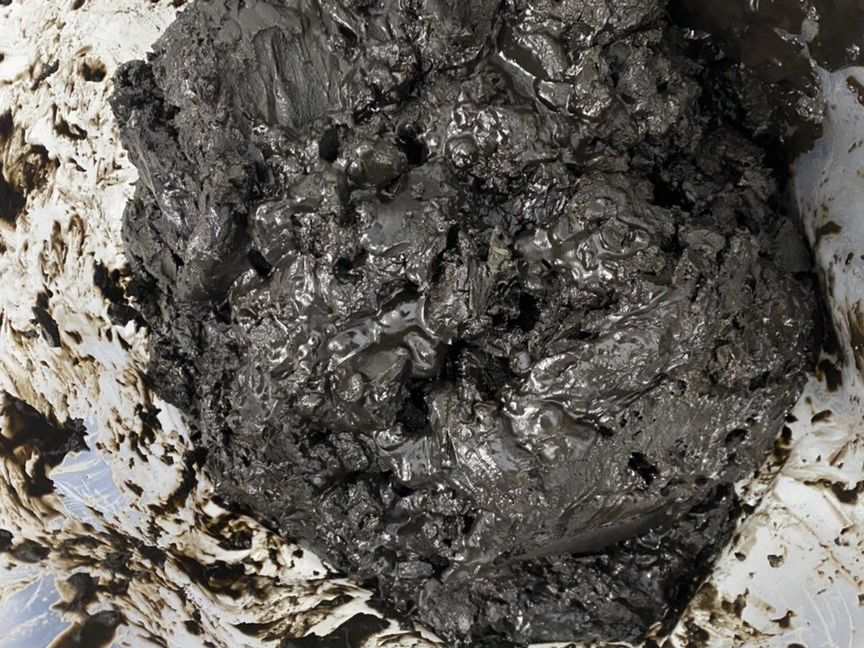 Фуза подсолнечника