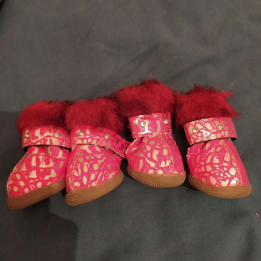 Обувь для собак