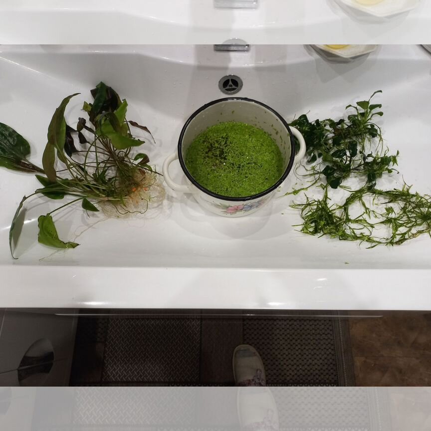 Набор растения для аквариума