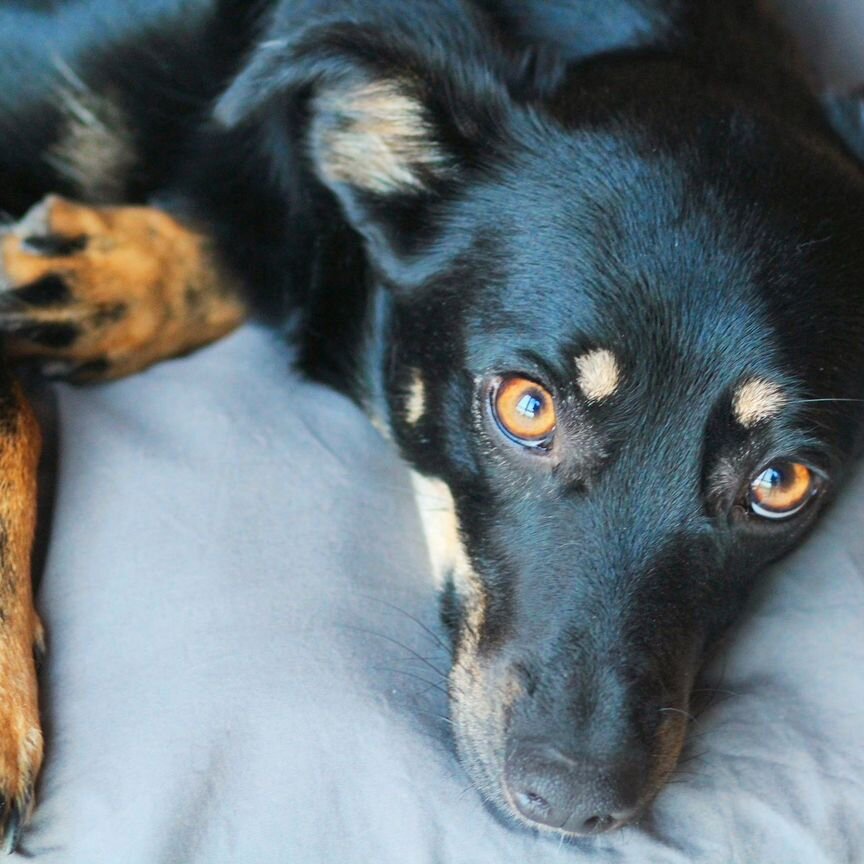 Девочка ждет самую лучшую семью