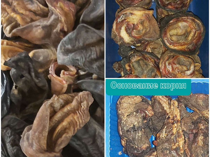 Корм для собак, Лакомства, Сушка-мясо для собак