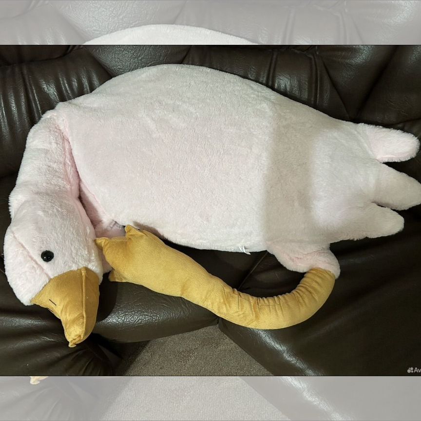 Гусь обнимусь