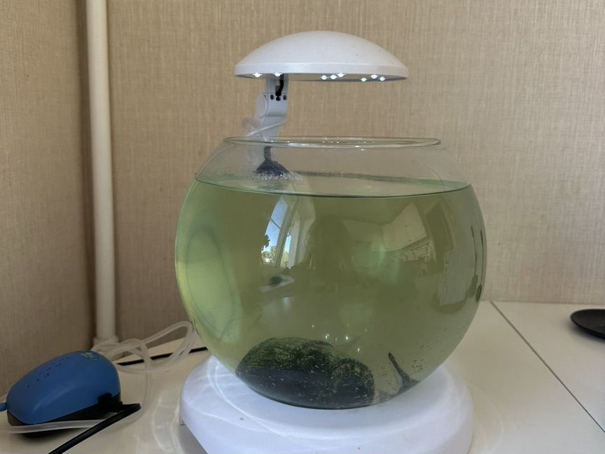 Аквариум tetra cascade белый