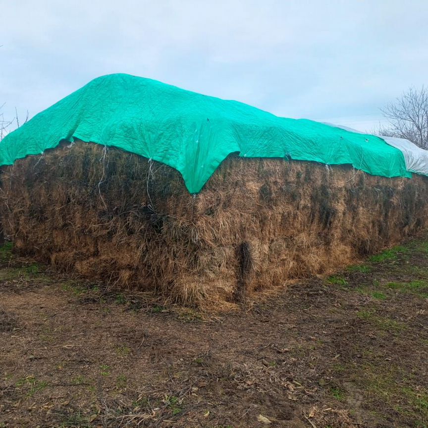 Сено в квадратных тюках