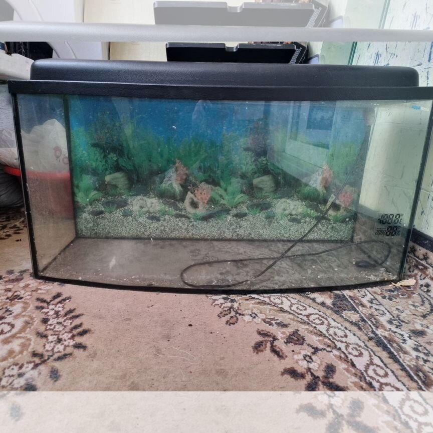 Продам аквариум